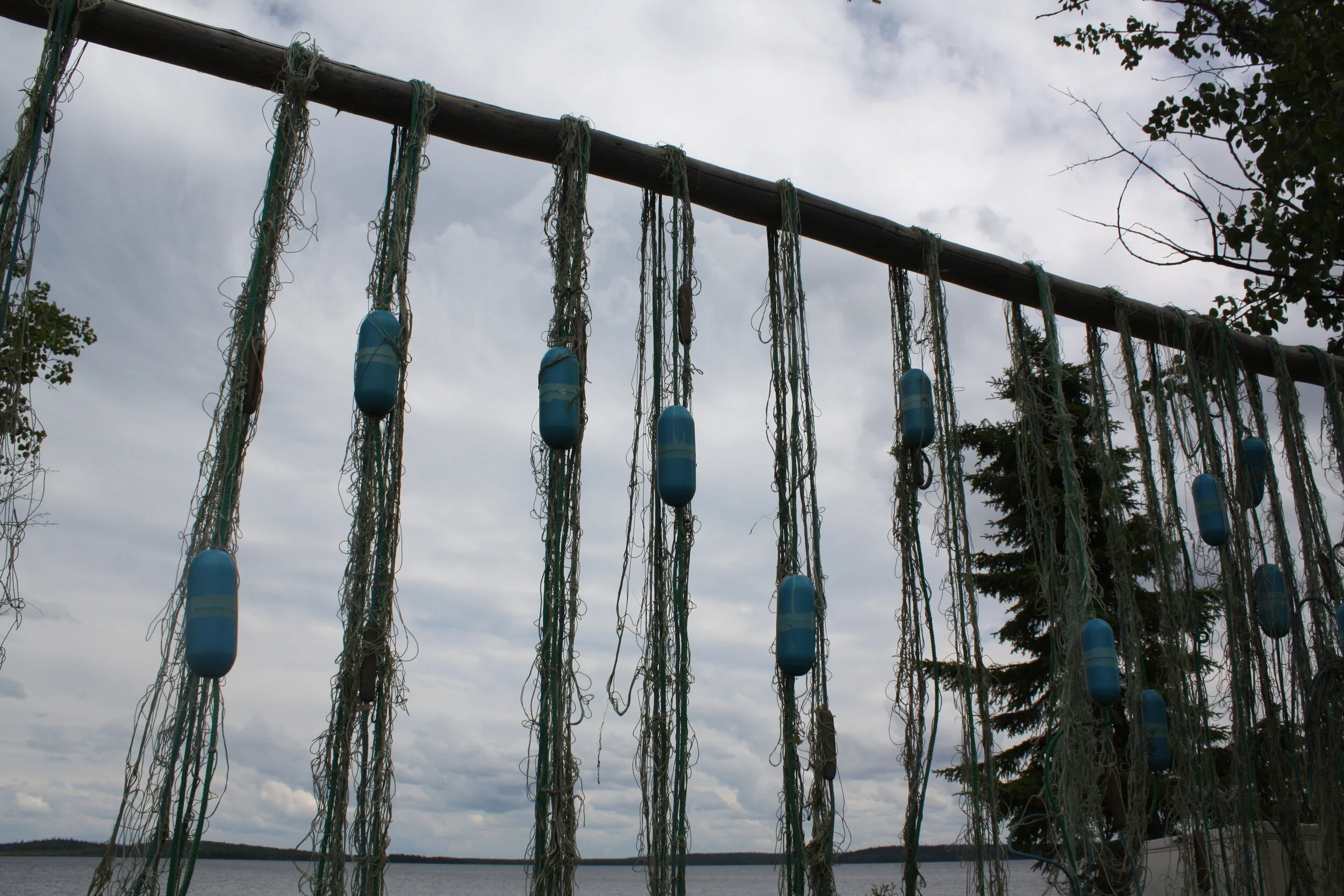 The harvesting activities of The Cree Hunters Economic Security Board ...