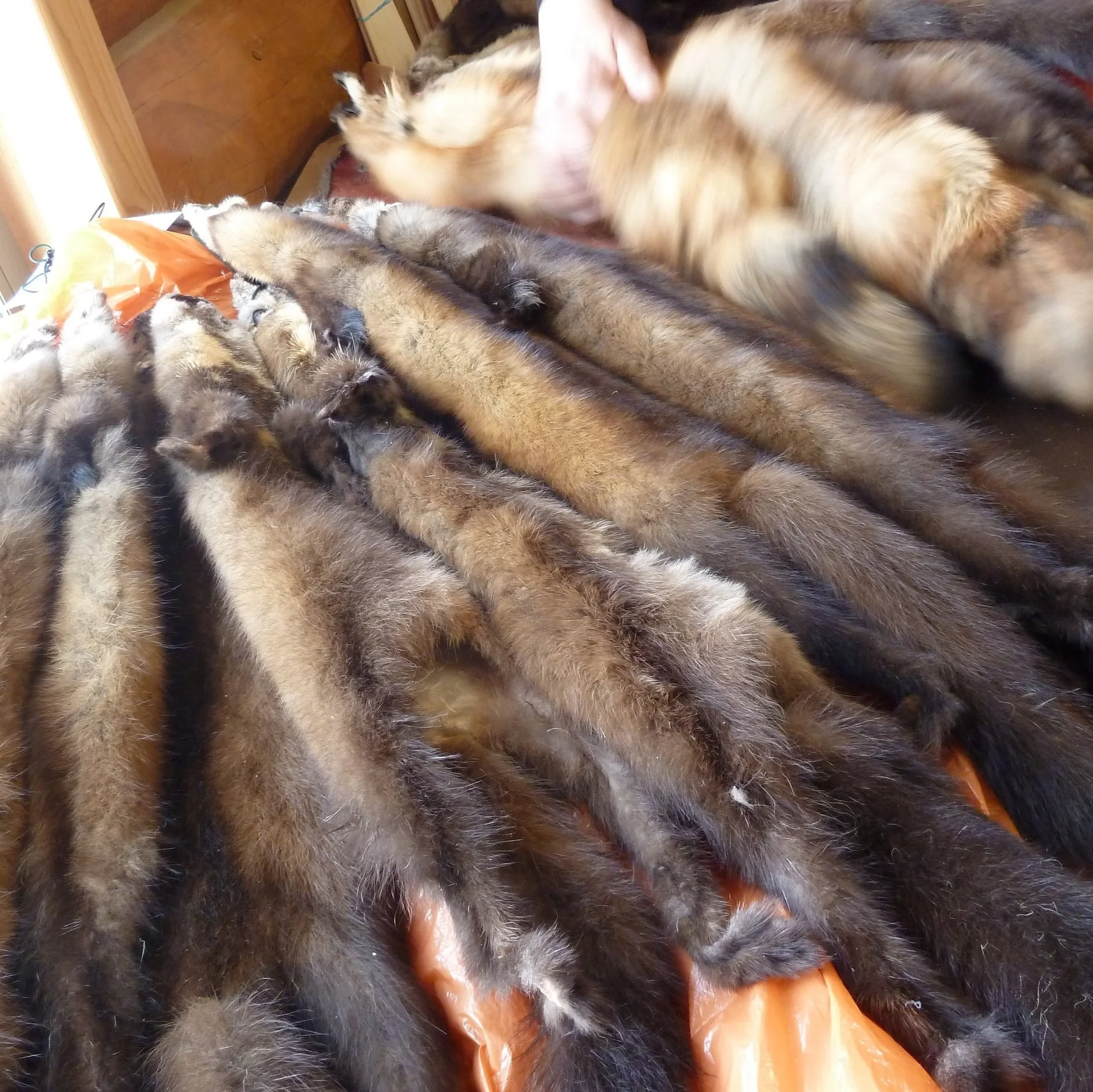 The harvesting activities of The Cree Hunters Economic Security Board ...