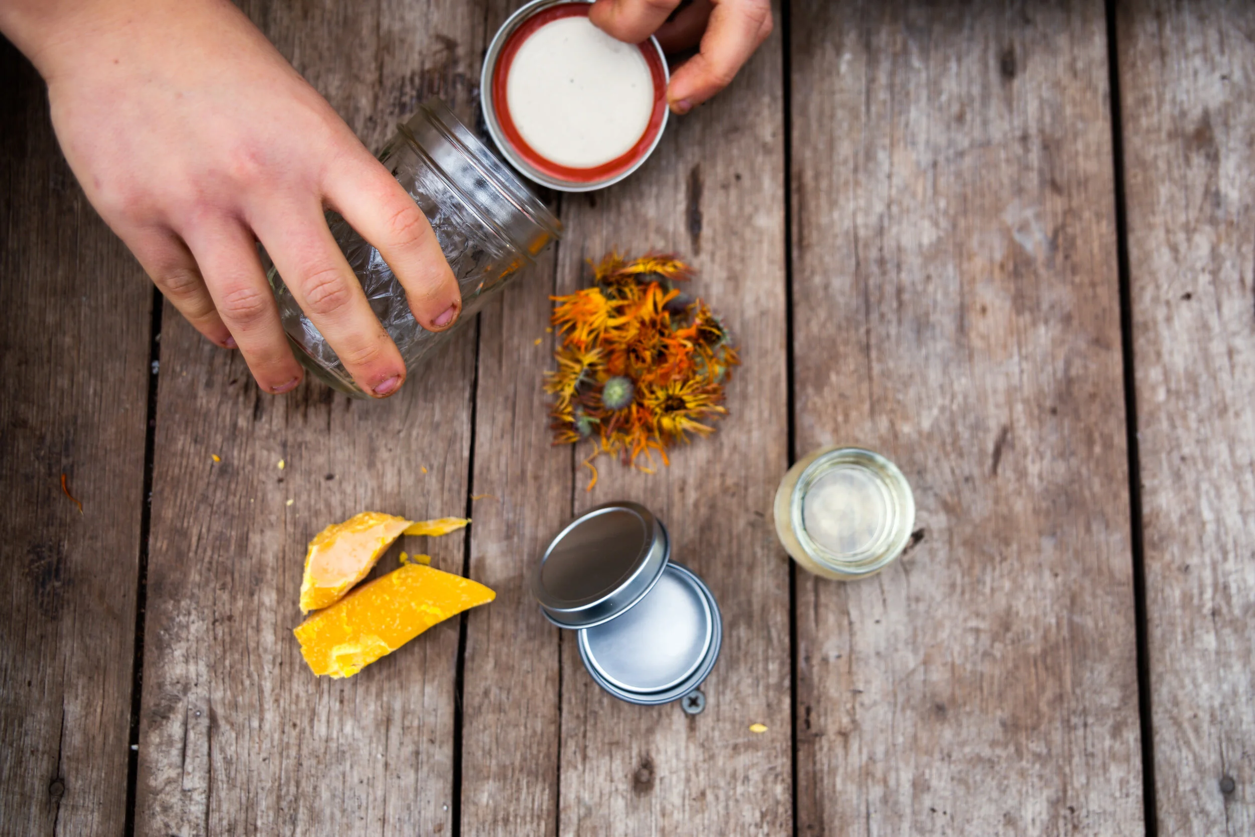 Make Calendula Salve — White Feather Farm