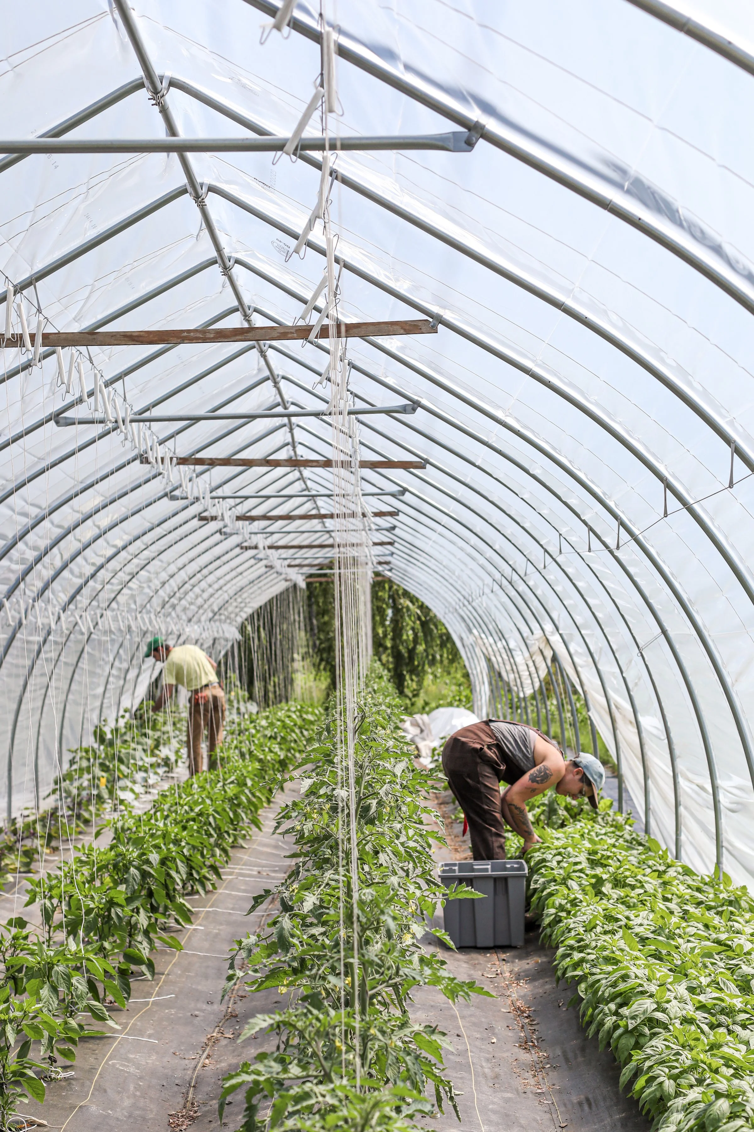 Mission — White Feather Farm