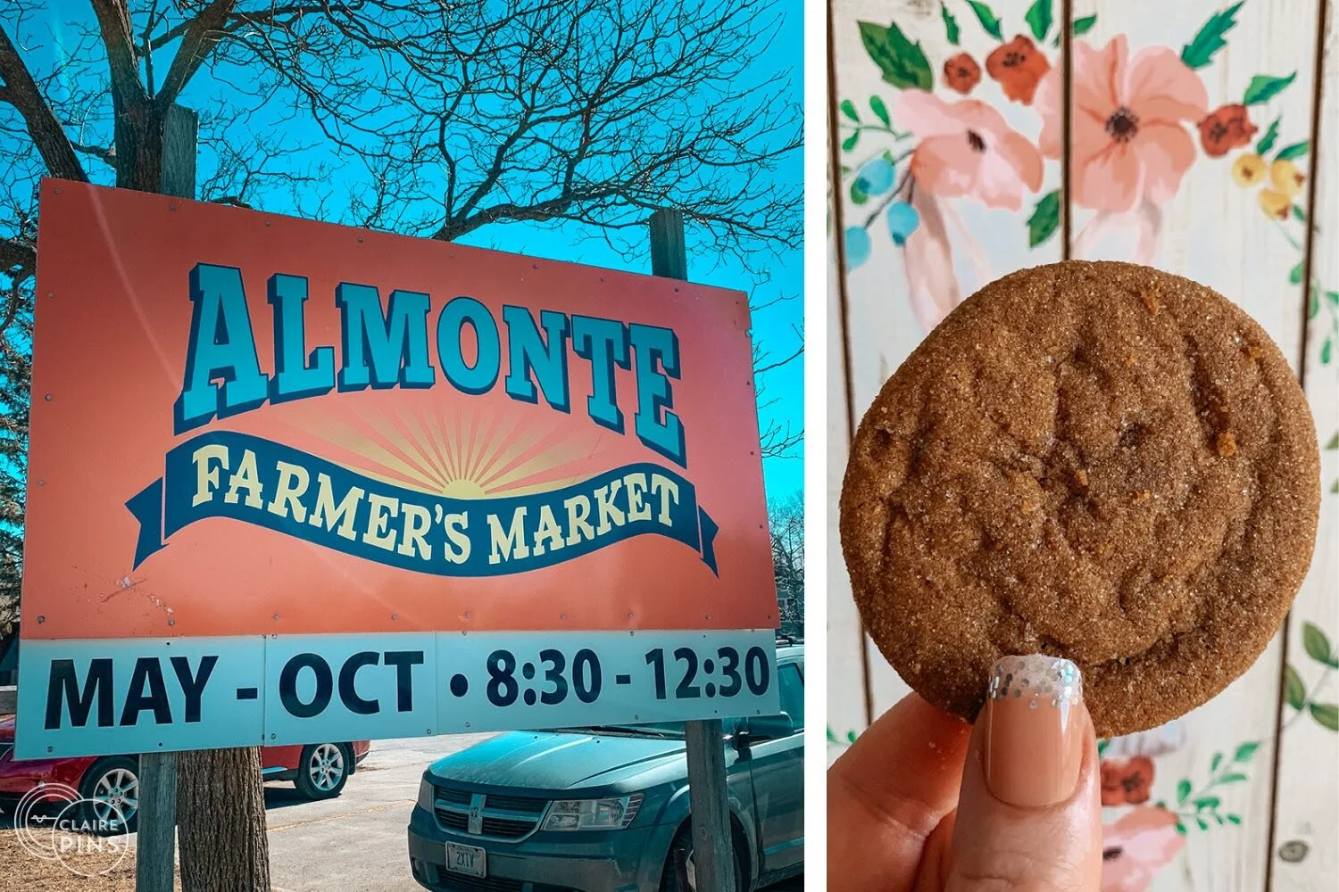 Visit Almonte: 12 fun things to do in this historic Ontario town