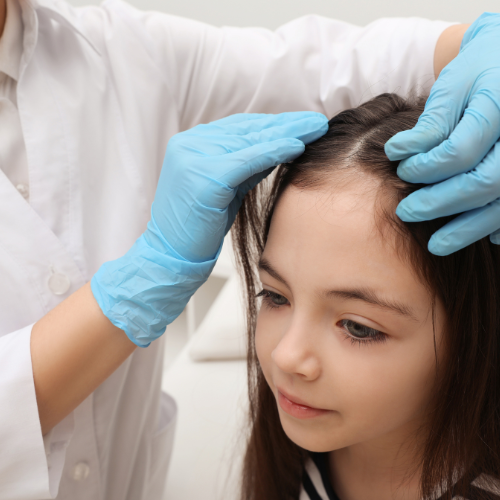 Ensuring Lice-Free Living: Professional Lice Screening Services ...