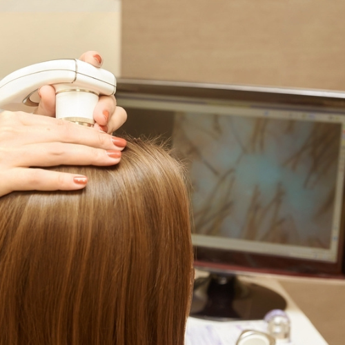 Lice Screening In Baton Rouge and Lafayette- Nitwits LA — NITWITS LICE ...