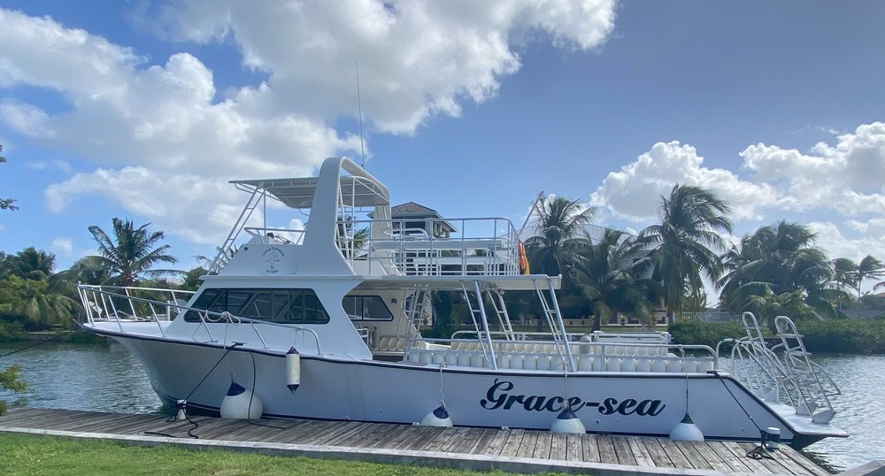 Little Cayman Diving Gallery — Little Cayman Divers