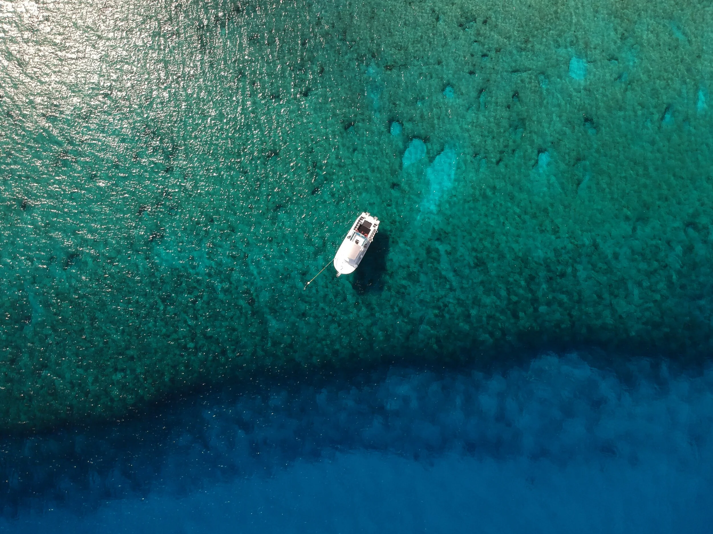 Little Cayman Divers