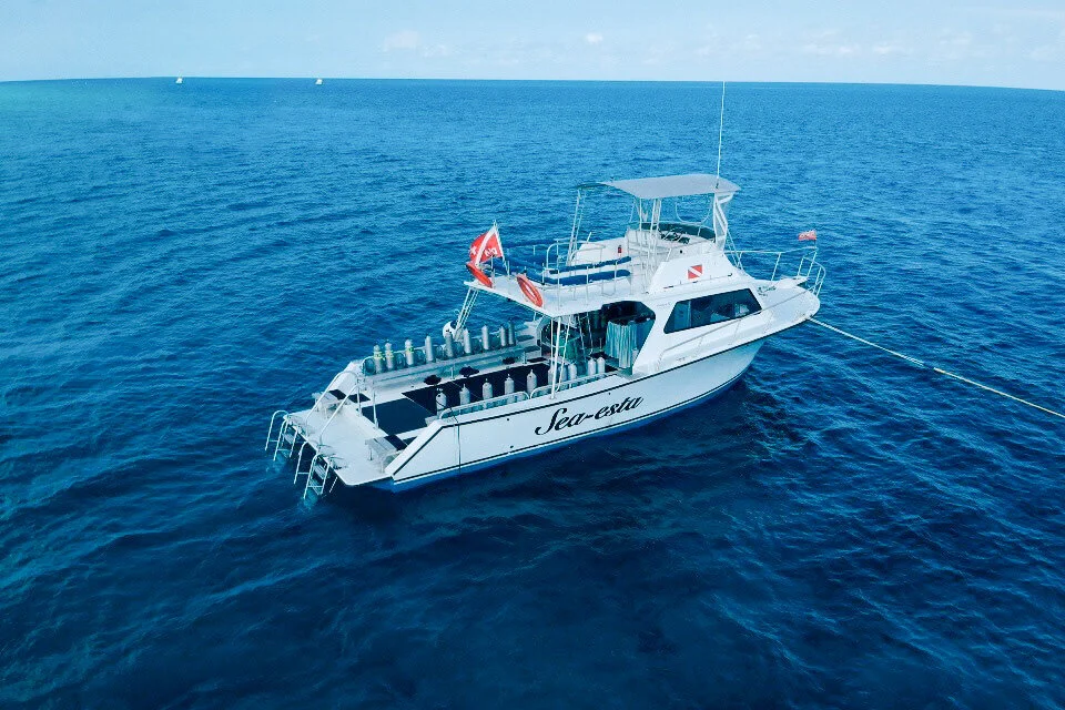 Little Cayman Diving Gallery — Little Cayman Divers