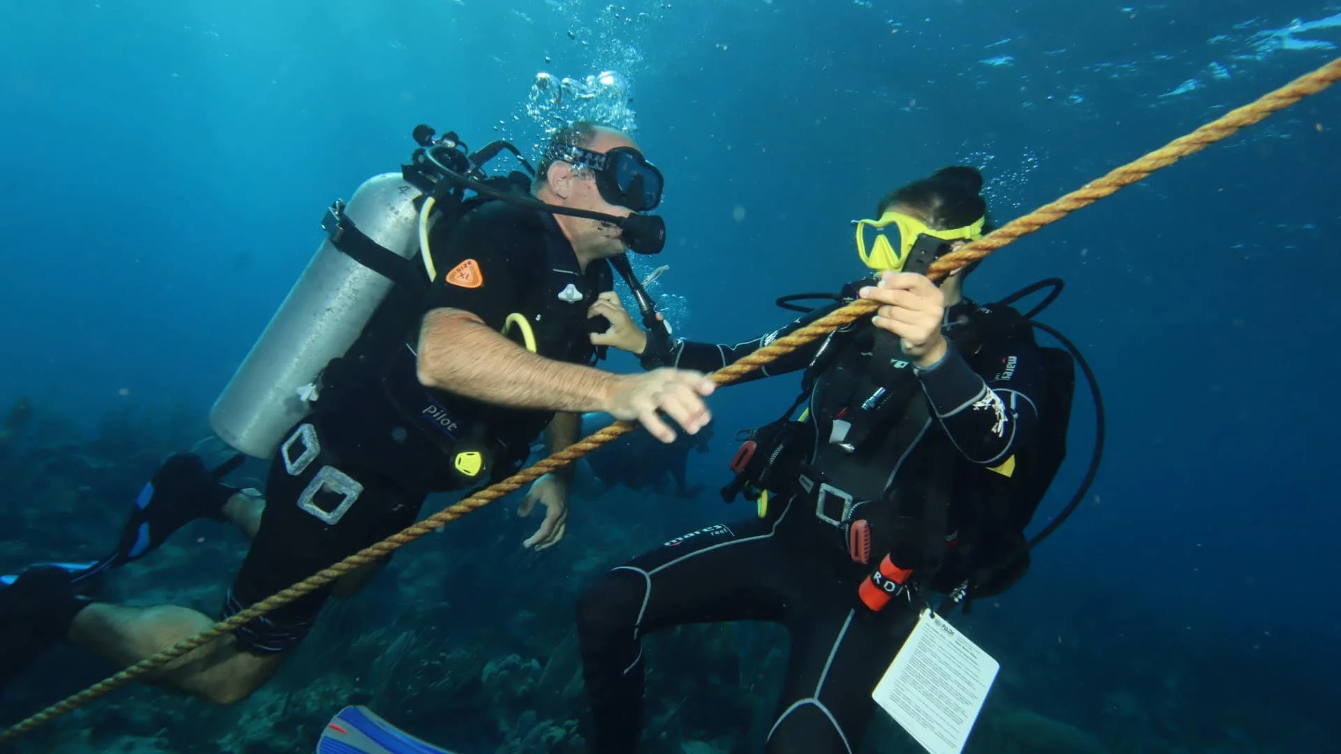 Little Cayman Divers