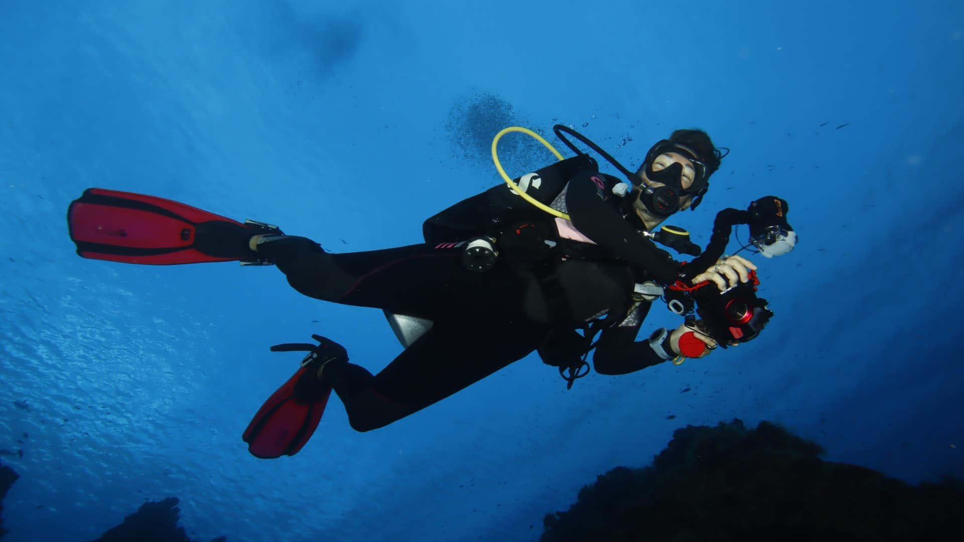 Little Cayman Divers