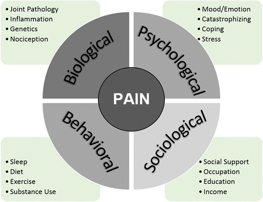 How to train your neck strength — Kingsland - Musculoskeletal and ...