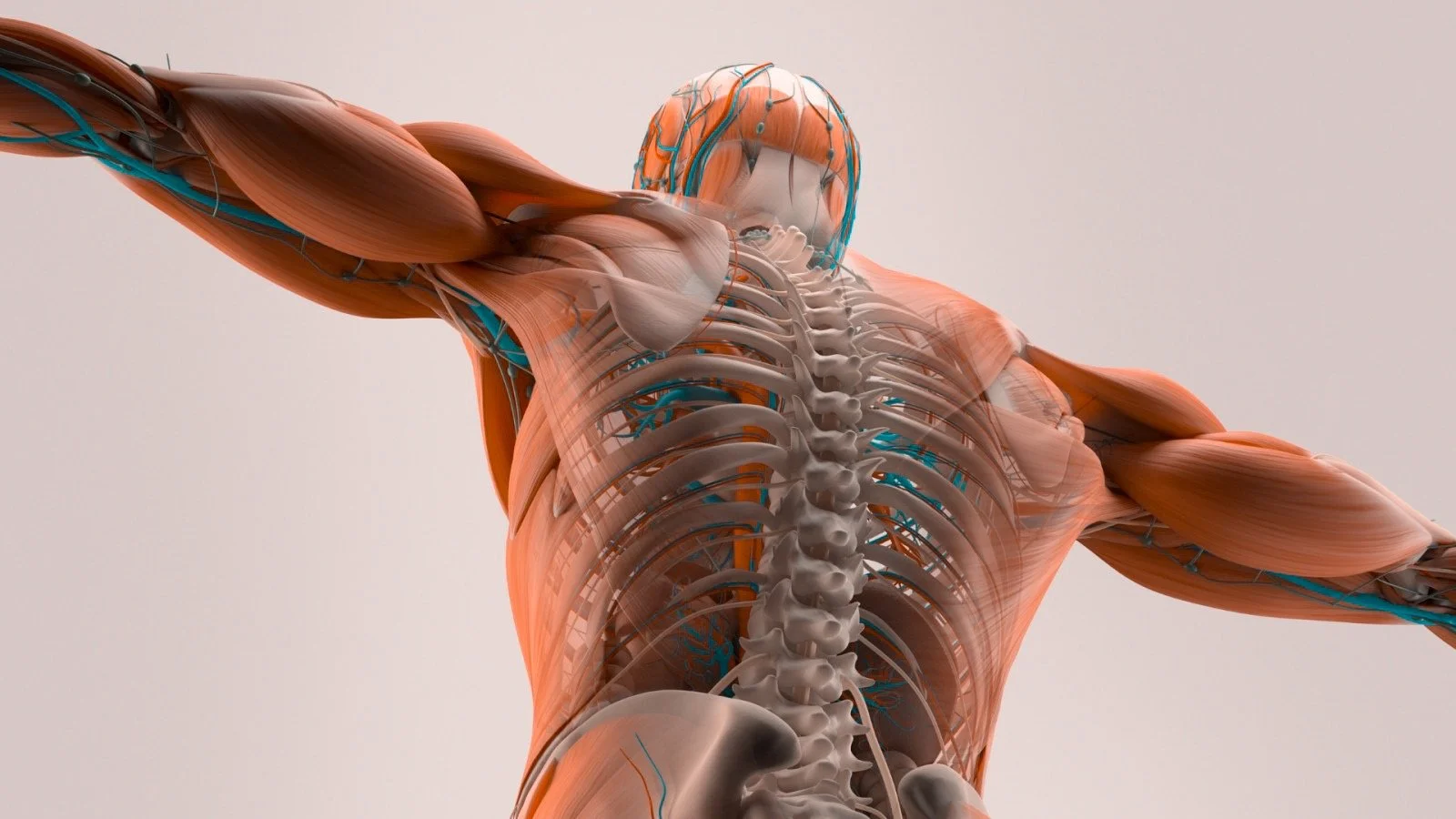 Neurokinetic Therapy — Kingsland - Musculoskeletal and Sports Physiotherapy
