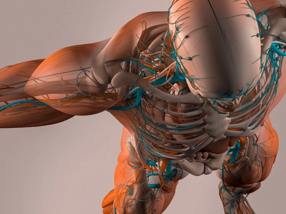 Neurokinetic Therapy — Kingsland - Musculoskeletal and Sports Physiotherapy