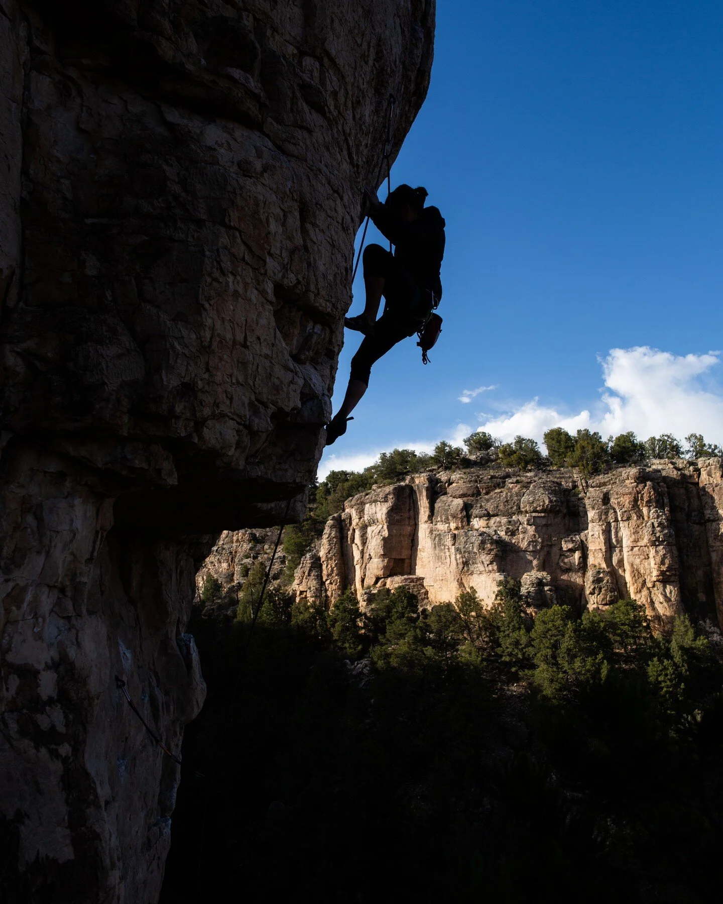 Best Practices — American Safe Climbing Association