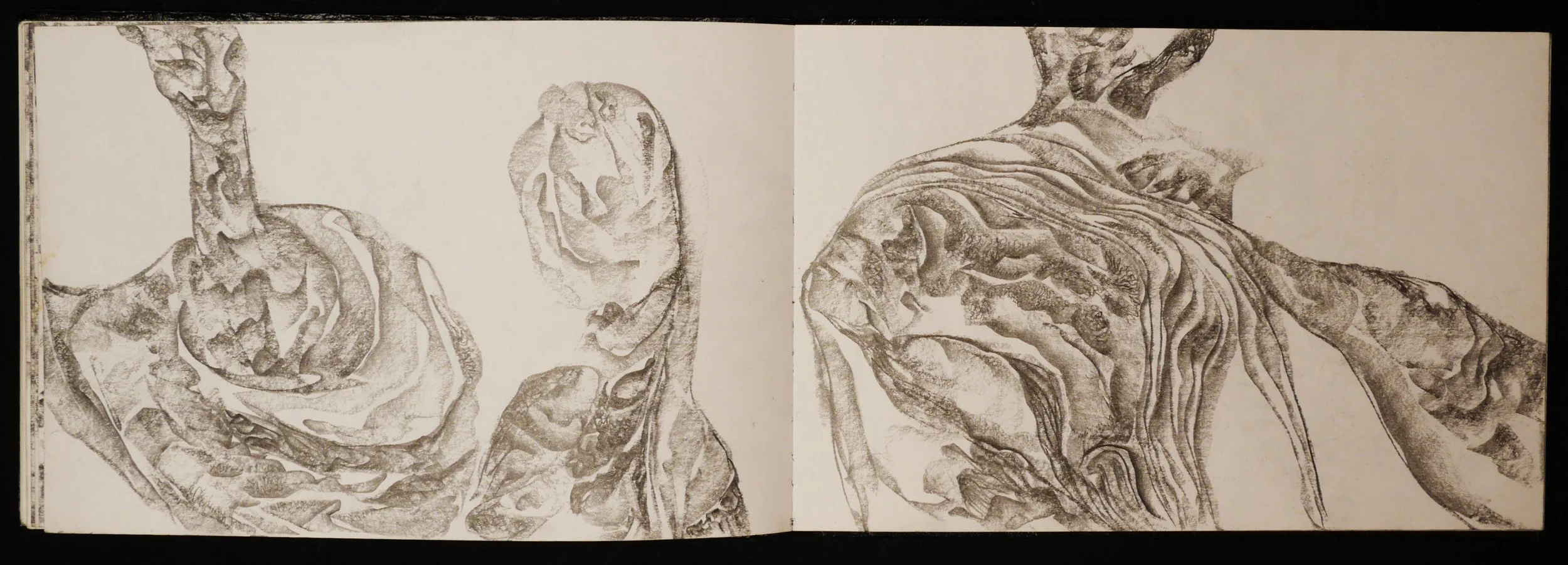 An Engaging Conversation with Diego Samper — Arte Realizzata