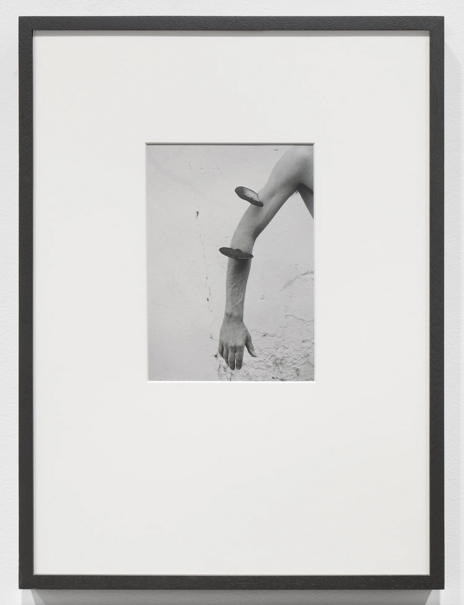 Artist Spotlight on Lothar Baumgarten — Arte Realizzata