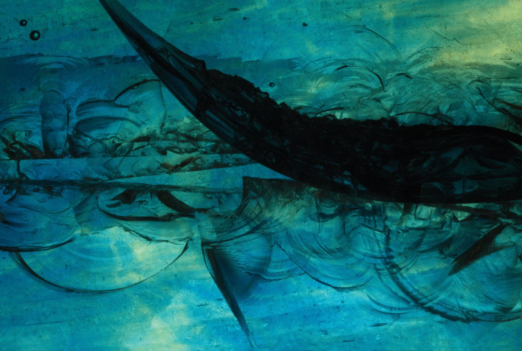 An Engaging Conversation with Diego Samper — Arte Realizzata