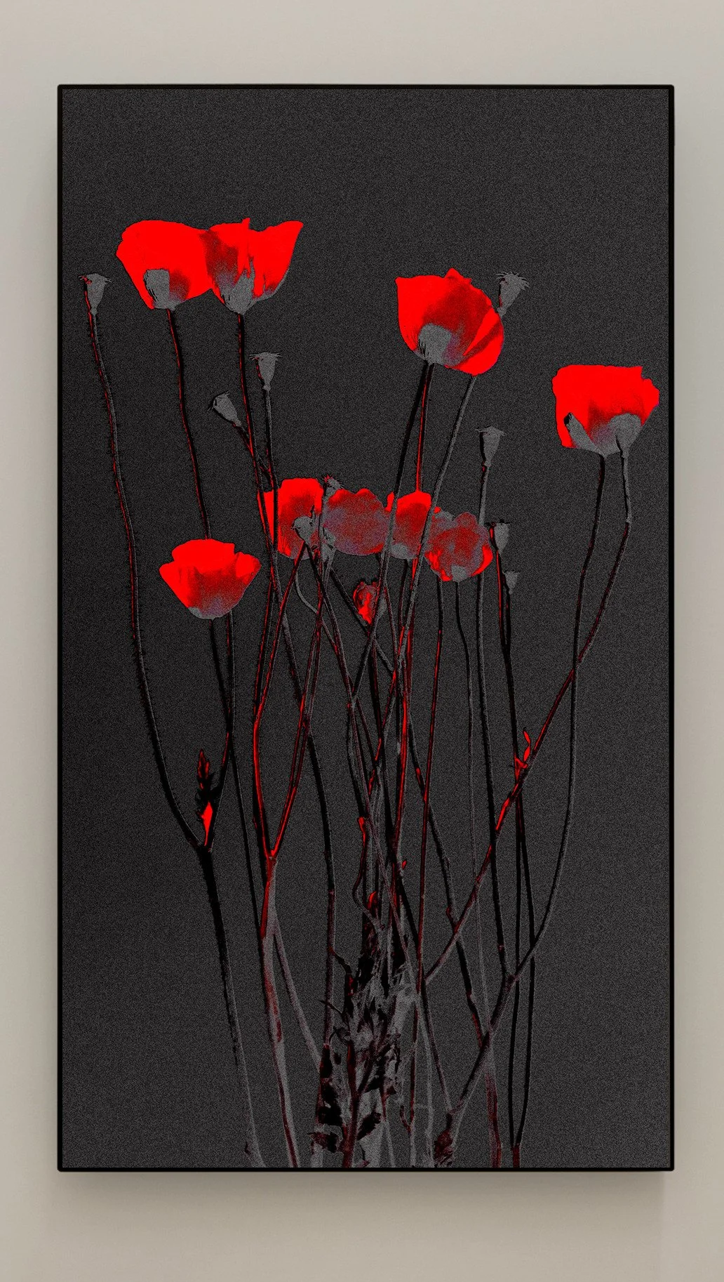 Michal Rovner:Pragim — Arte Realizzata