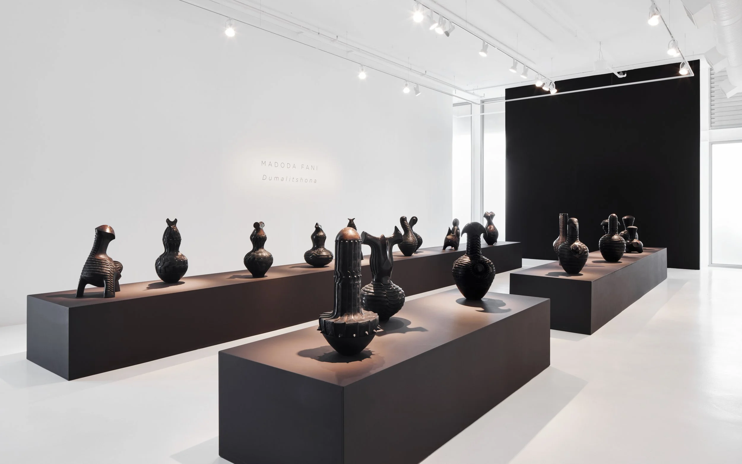 Madoda Fani: Dumalitshona — Arte Realizzata