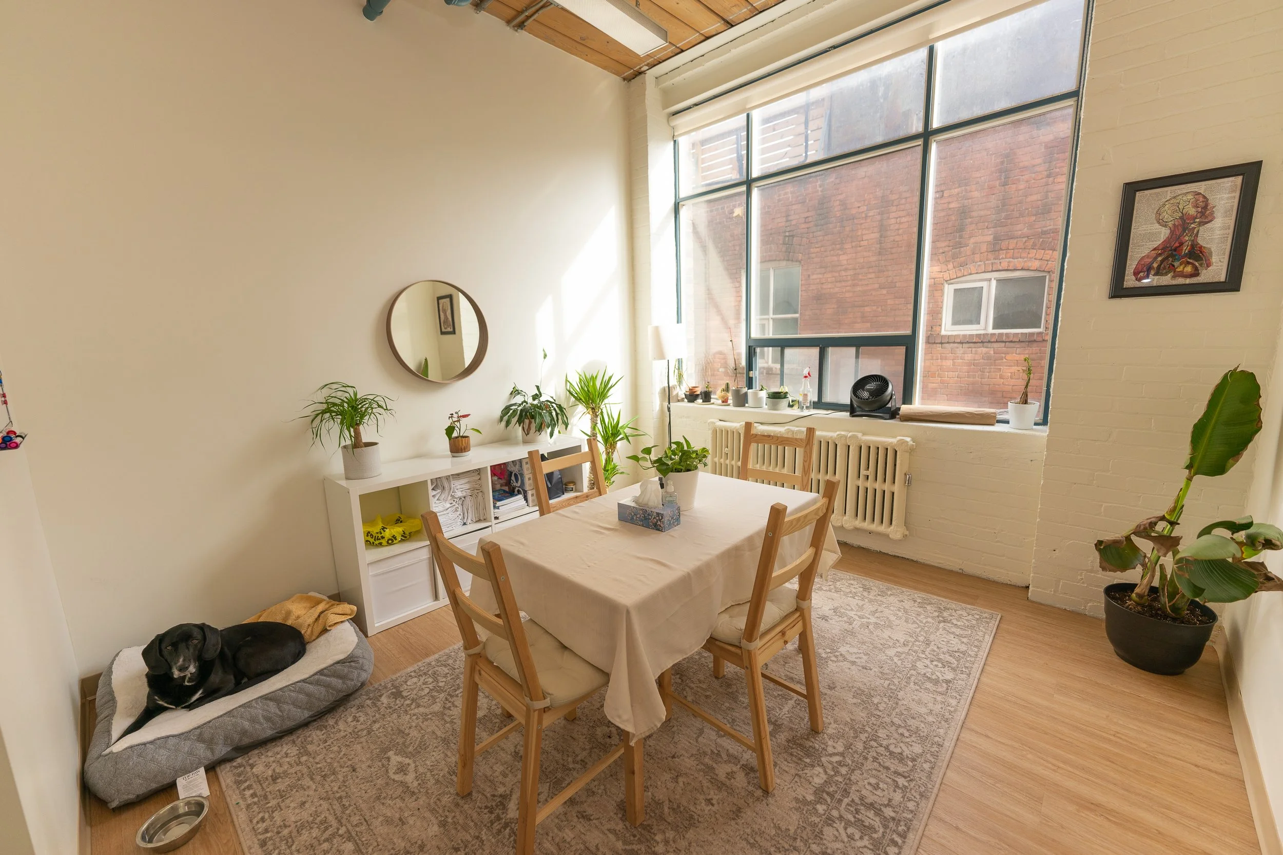 Toronto Community Massage and Wellness