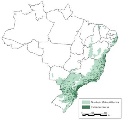 Agroforestry: A New Restoration Horizon for Brazil's Most Degraded ...