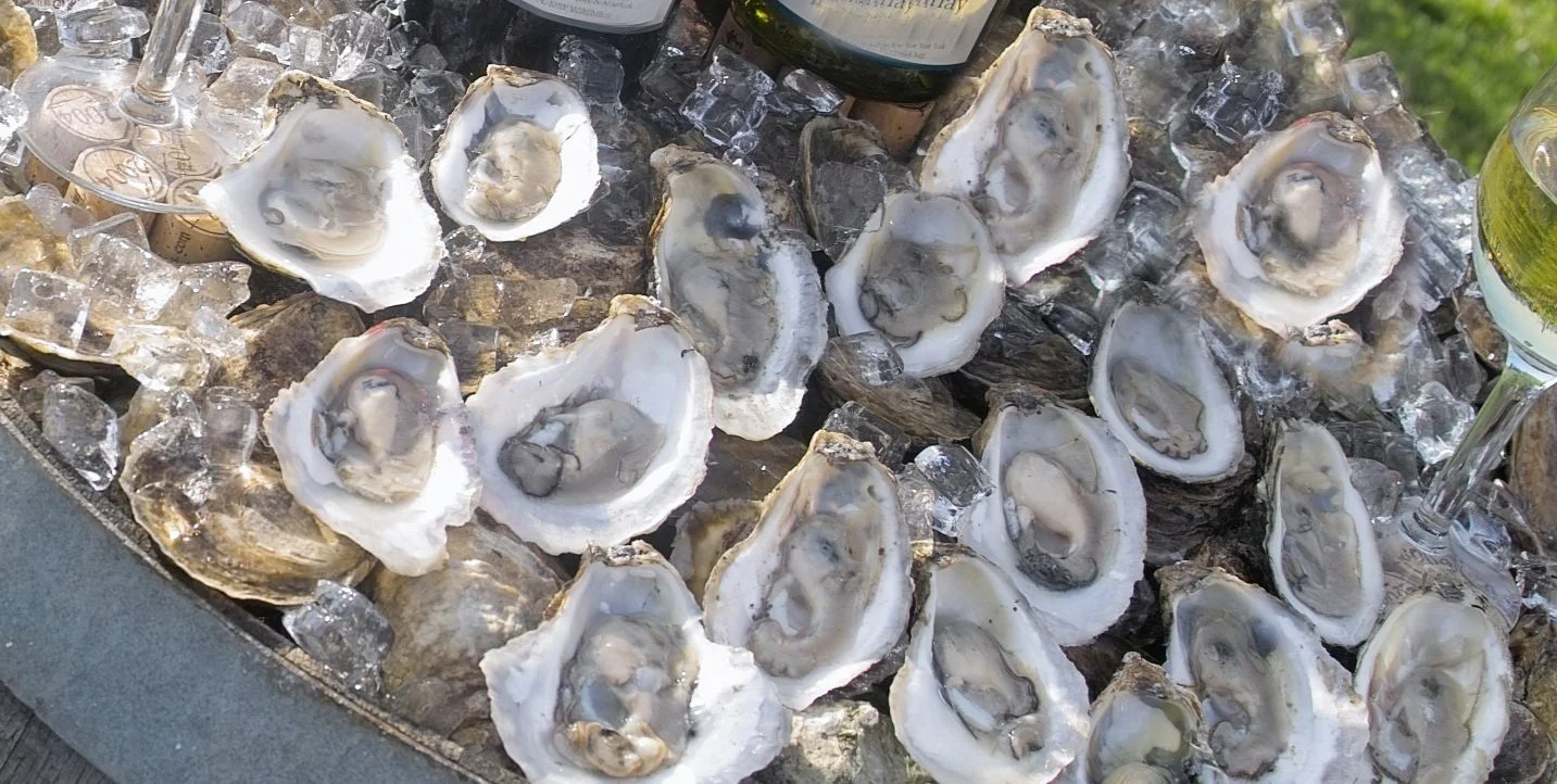 Greenport Shellabration