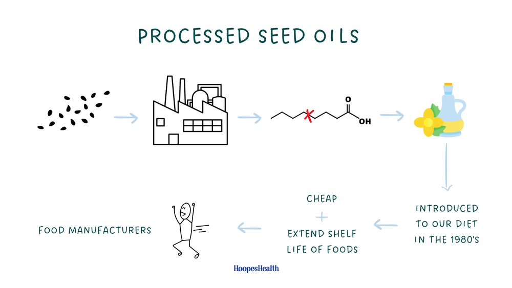 Understanding Processed Seed Oils — HOOPES HEALTH