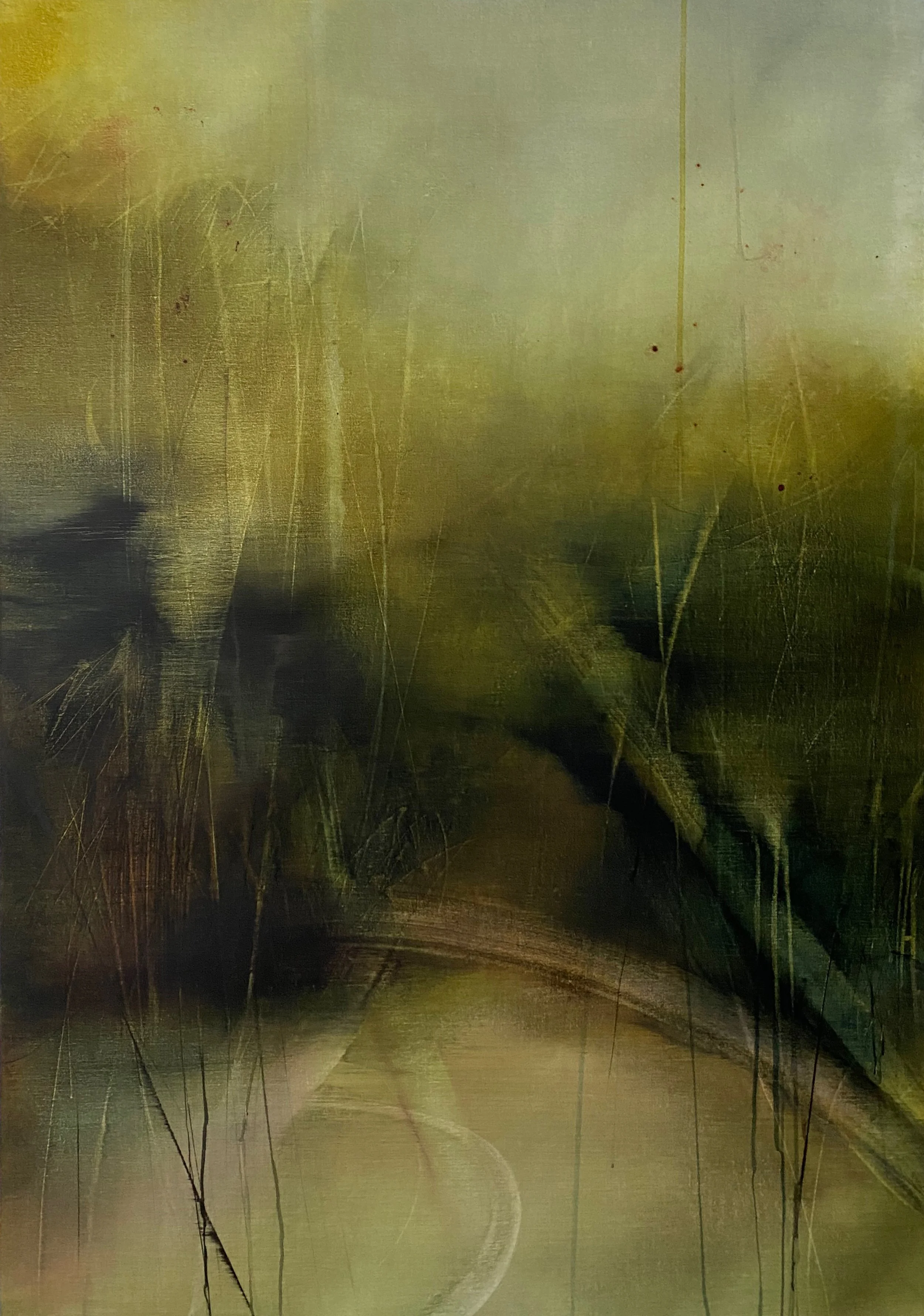 Kathy Barber AP — Orexart – New Zealand Art