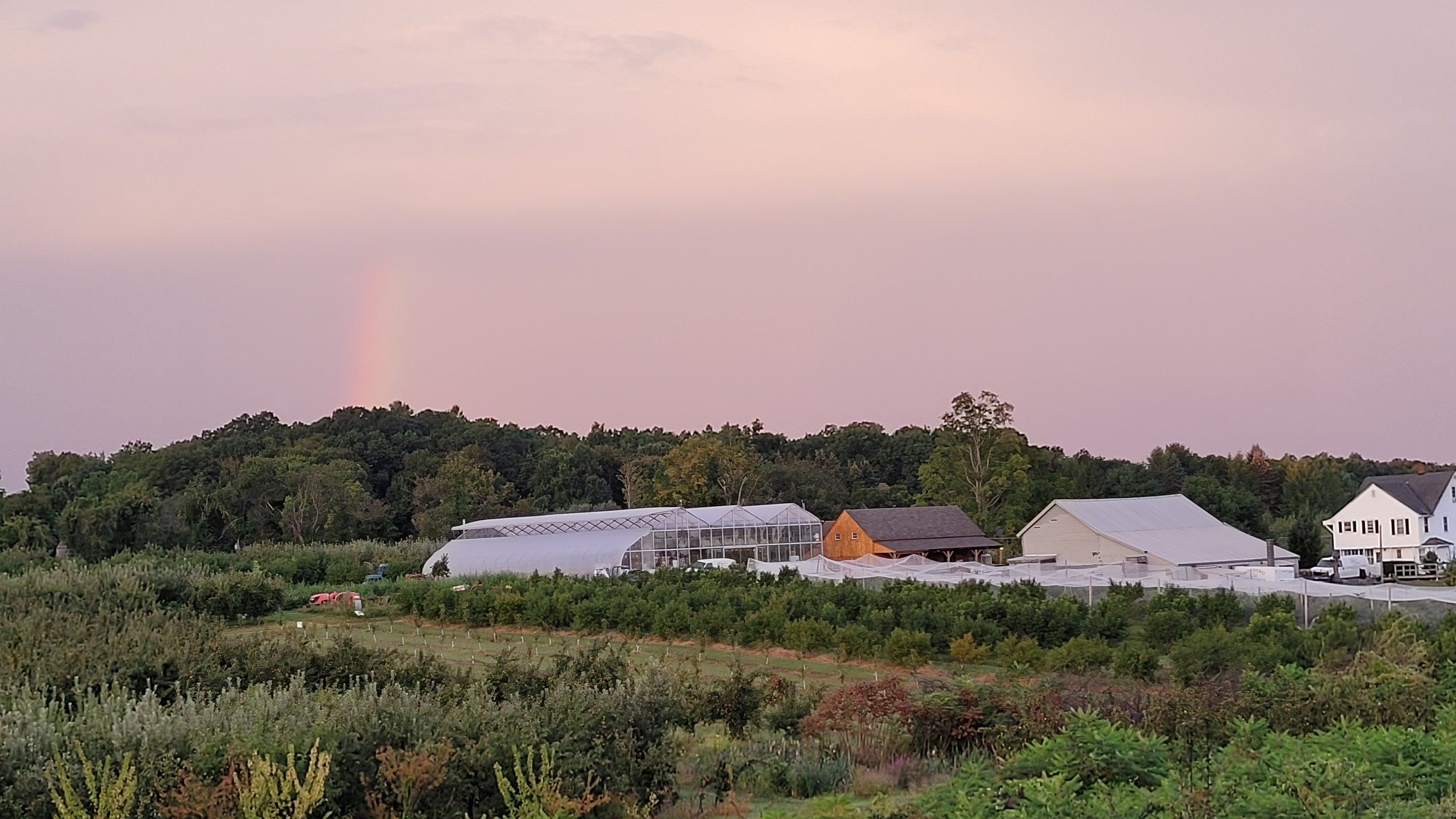 Gallery — Dondero Orchards