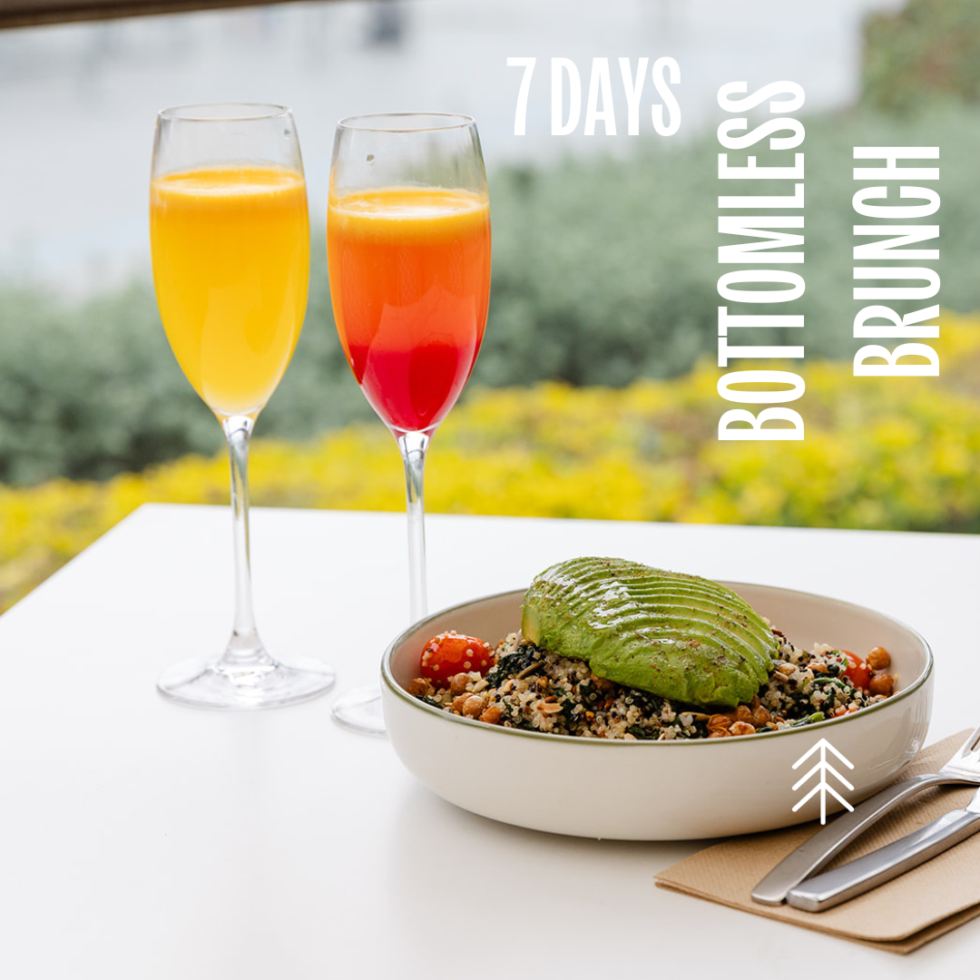 What's On at The Pines Cronulla | Events — The Pines