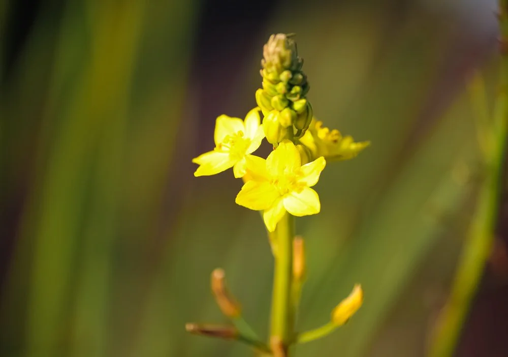 People — Yerrabingin