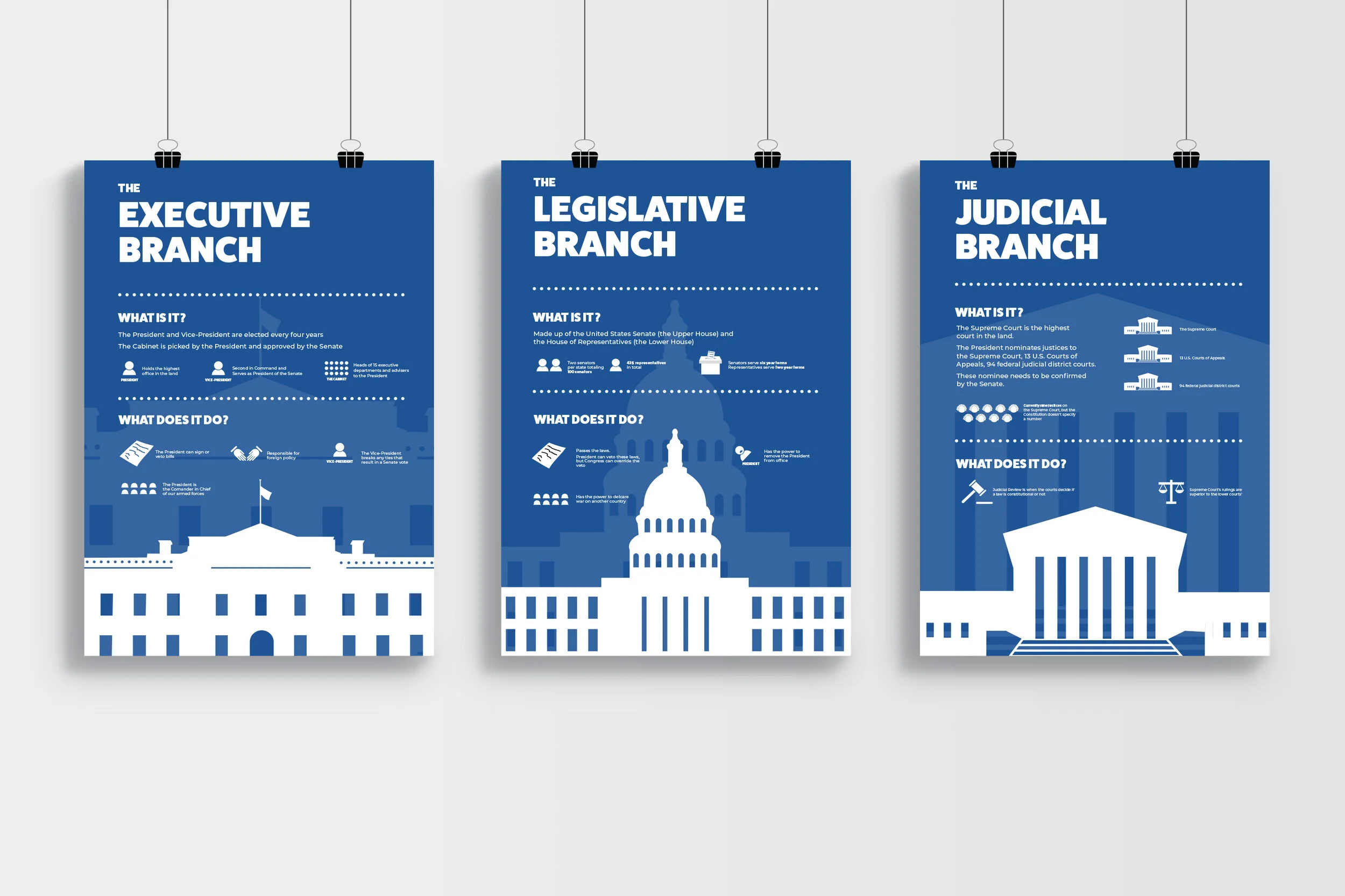Infographic Us Government