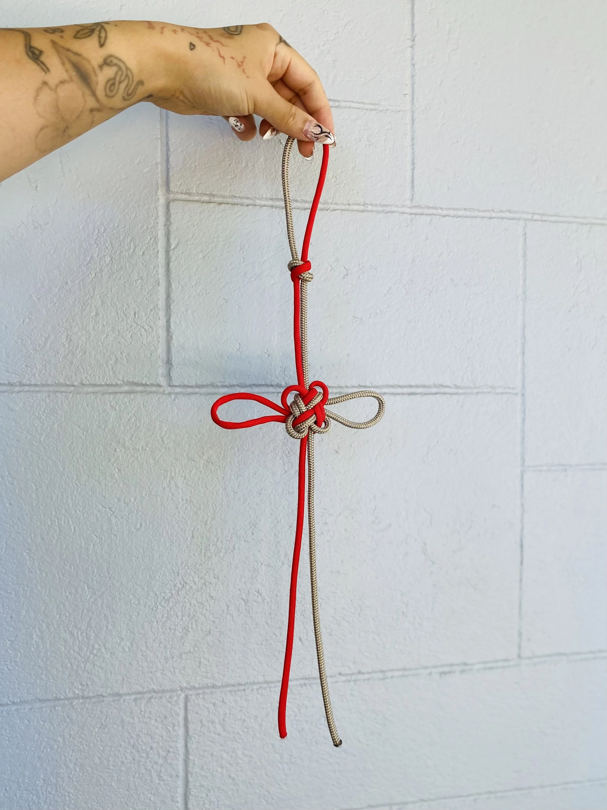 Programme — Post Office Projects