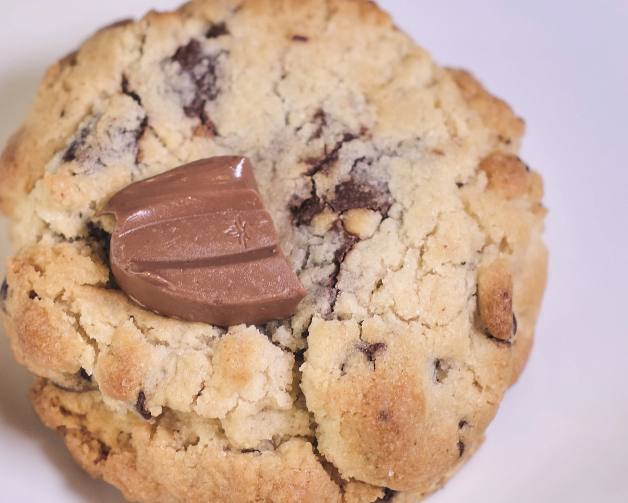 Sweet Science Coffee