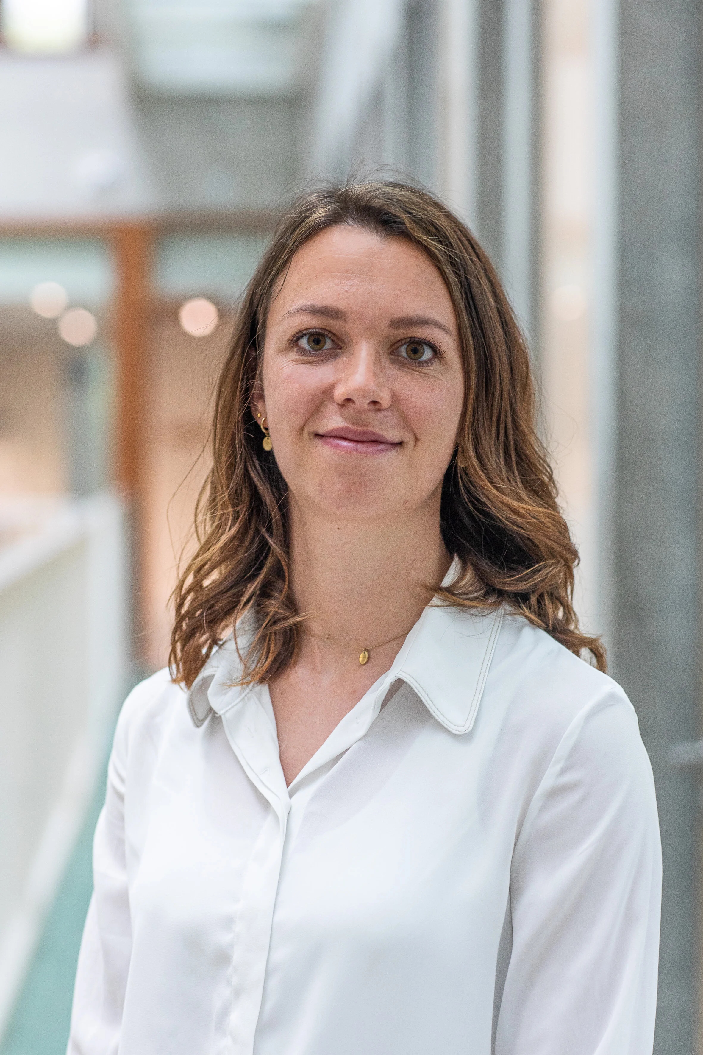 Targid research center IBD — IBD leuven