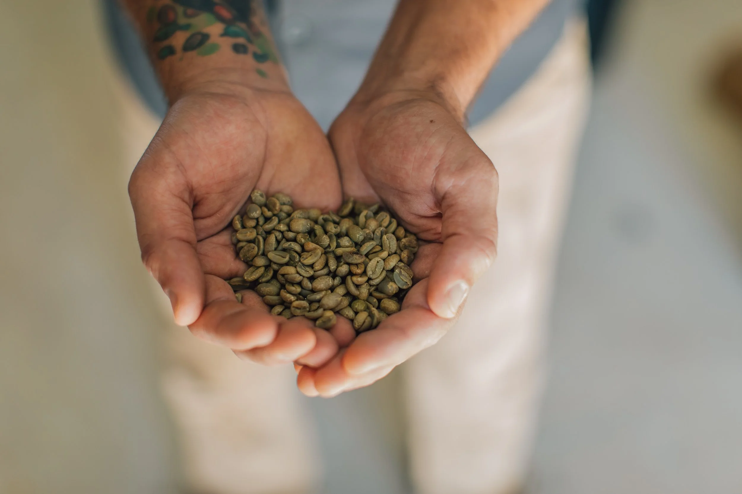 Monarch Estate Green Coffee — Monarch Coffee