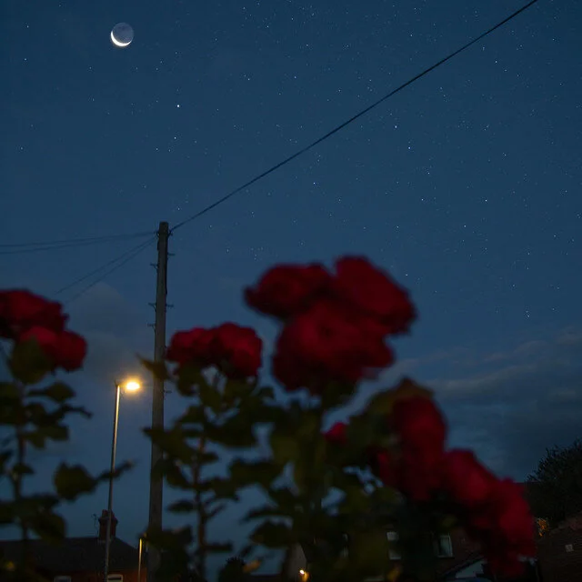 Chalkpit - New Music Discoveries - February 19th 2021 — Chalkpit Records