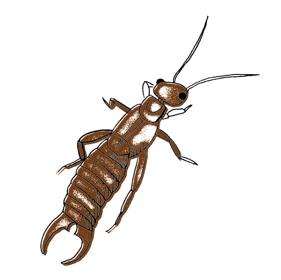 Helping children & families play outdoors and explore nature