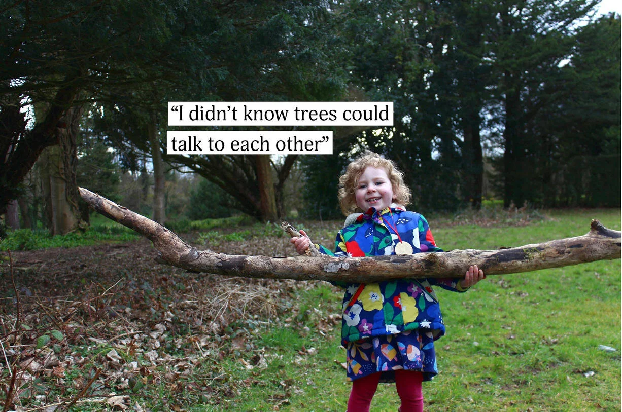 Helping children & families play outdoors and explore nature