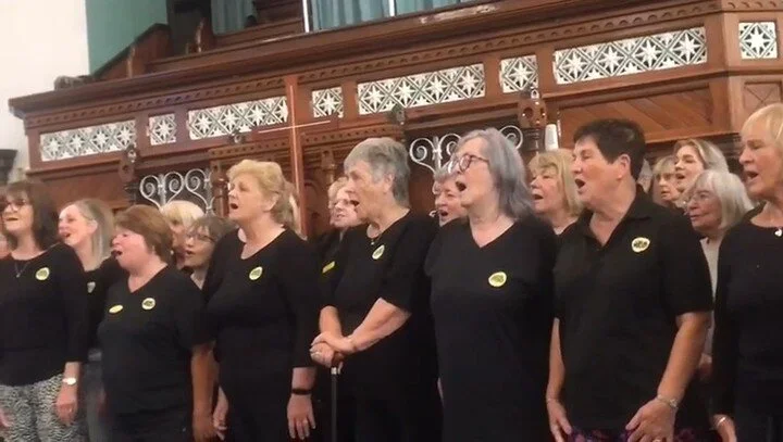 Local Vocals