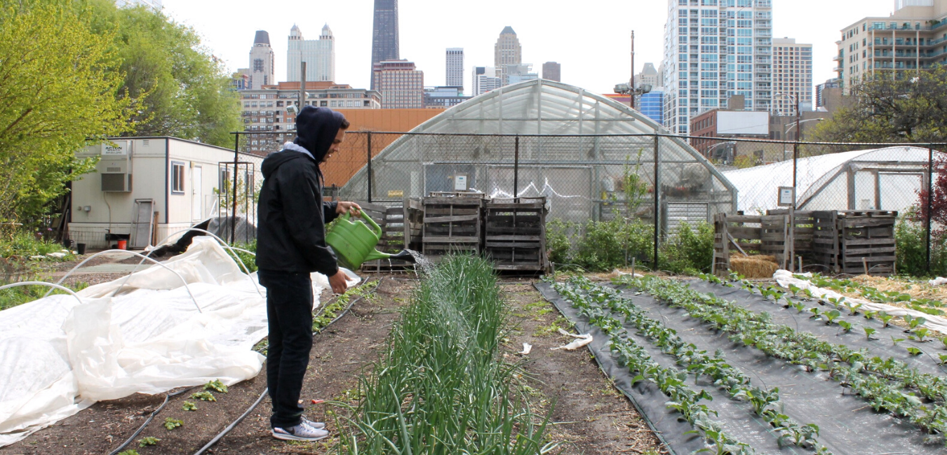 Building a Local Economy through Urban Agriculture