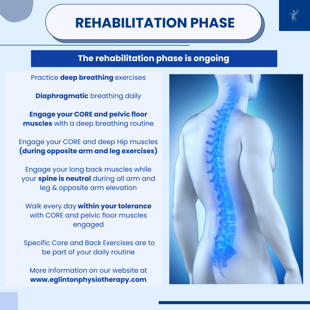Post-Op Back Exercises — Eglinton Physiotherapy