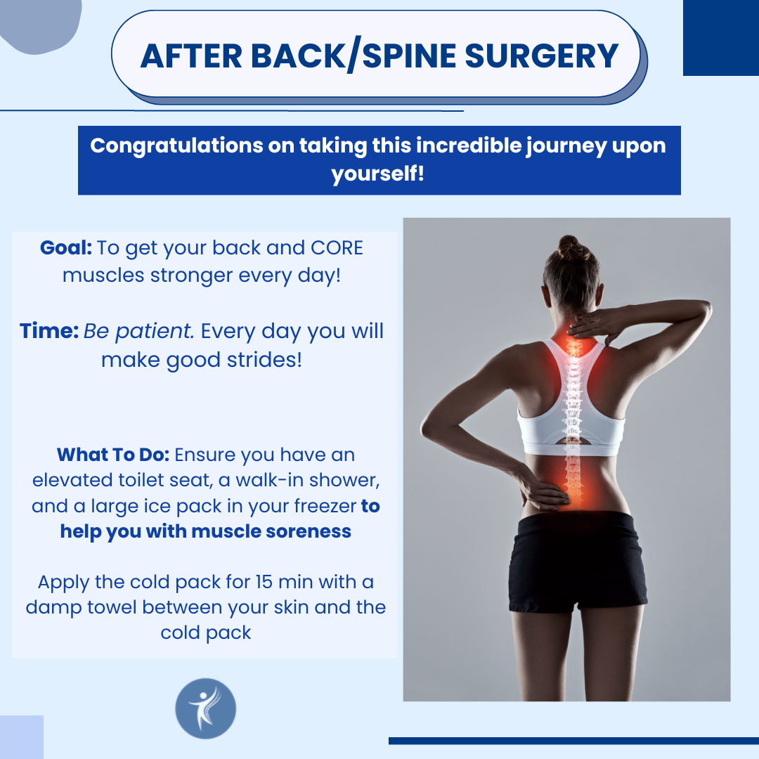 Post-Op Back Exercises — Eglinton Physiotherapy