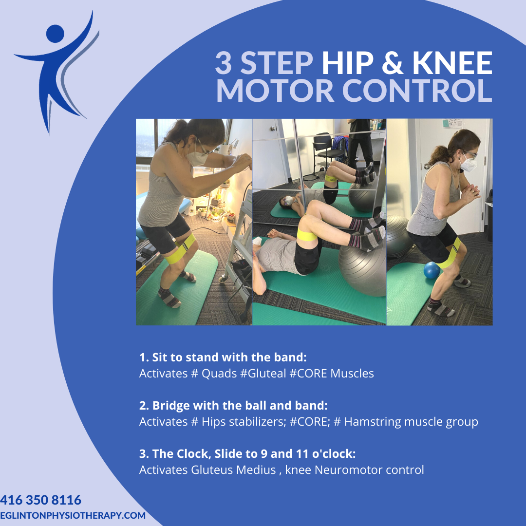 Hip and Knee Motor Control — Eglinton Physiotherapy