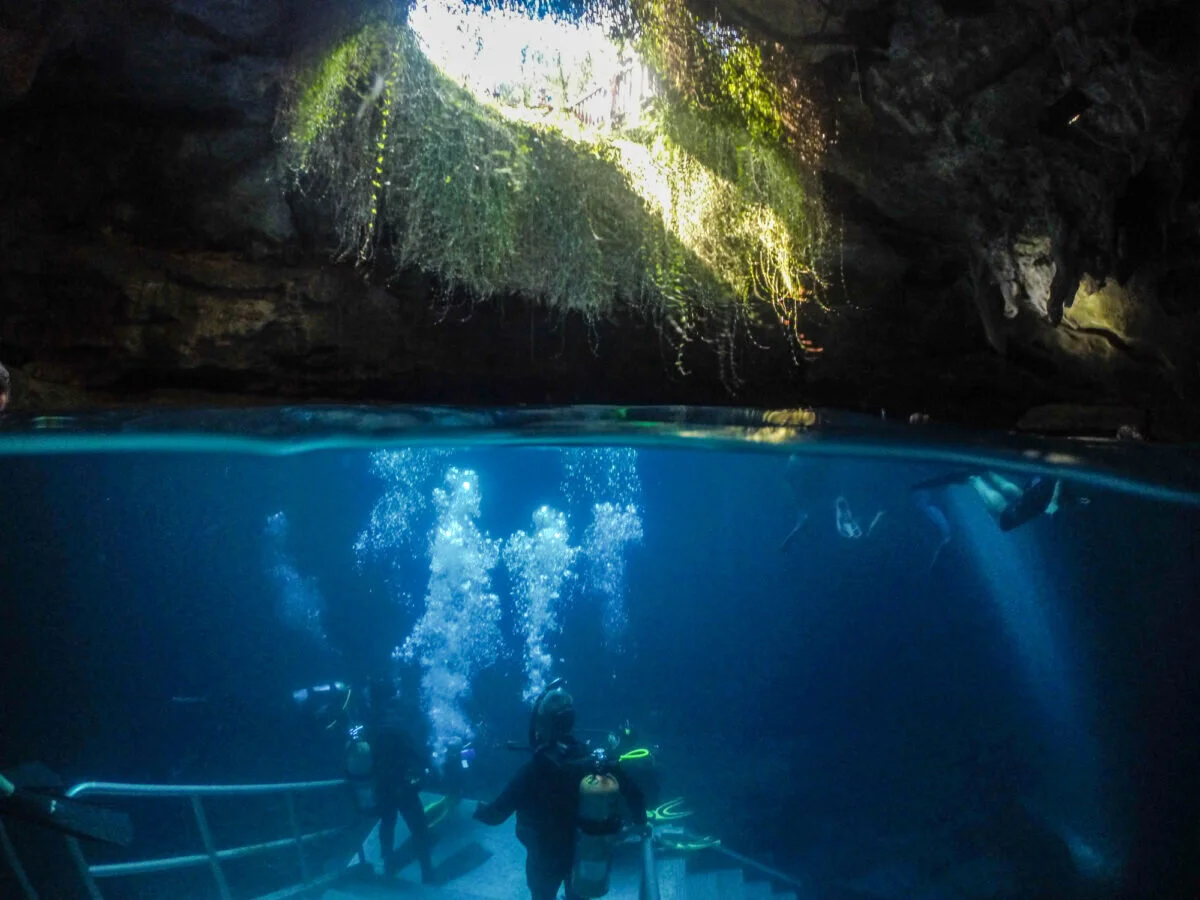 Scuba Diving Devil's Den | Jason Daniel Shaw
