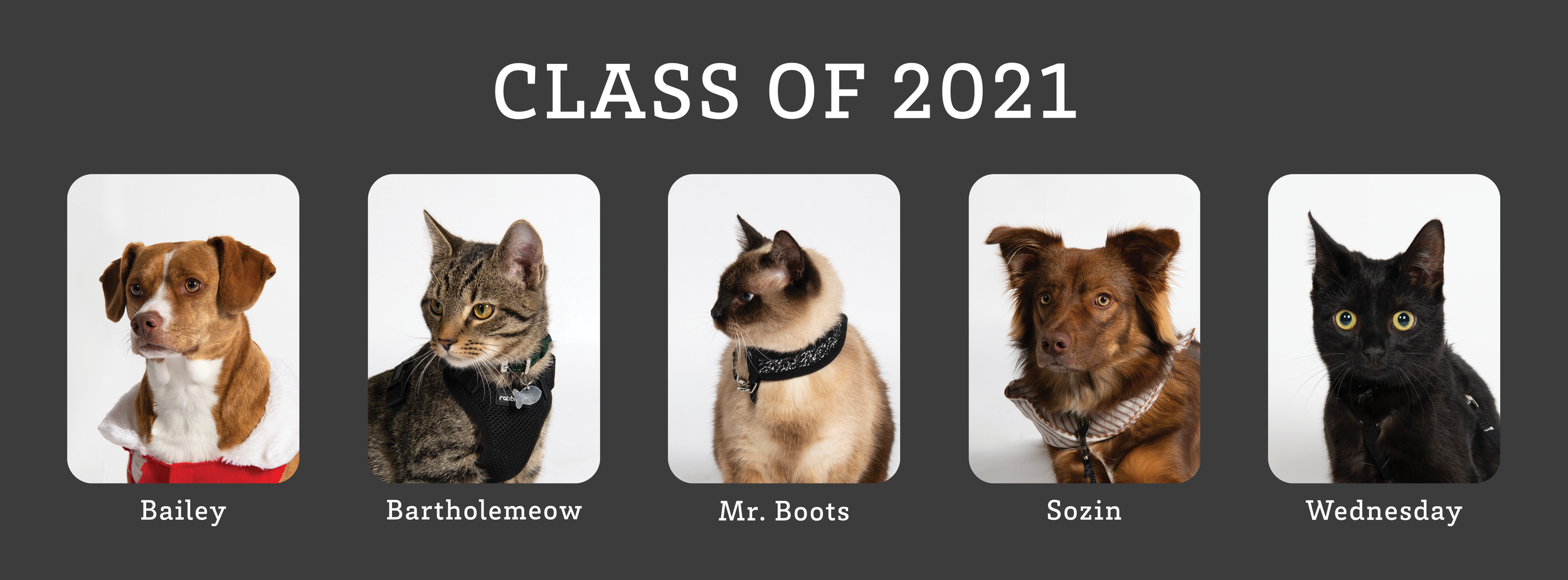 Kaptured by Kali Photography — Kali Knudson — Athens, Ohio Photographer