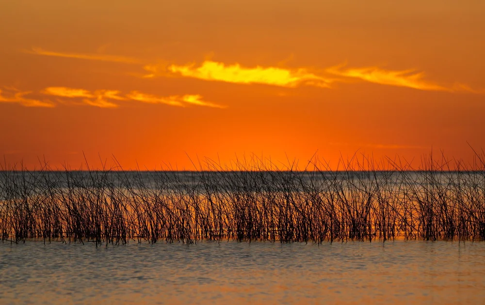 Jobs in the Community — Walpole Island First Nation