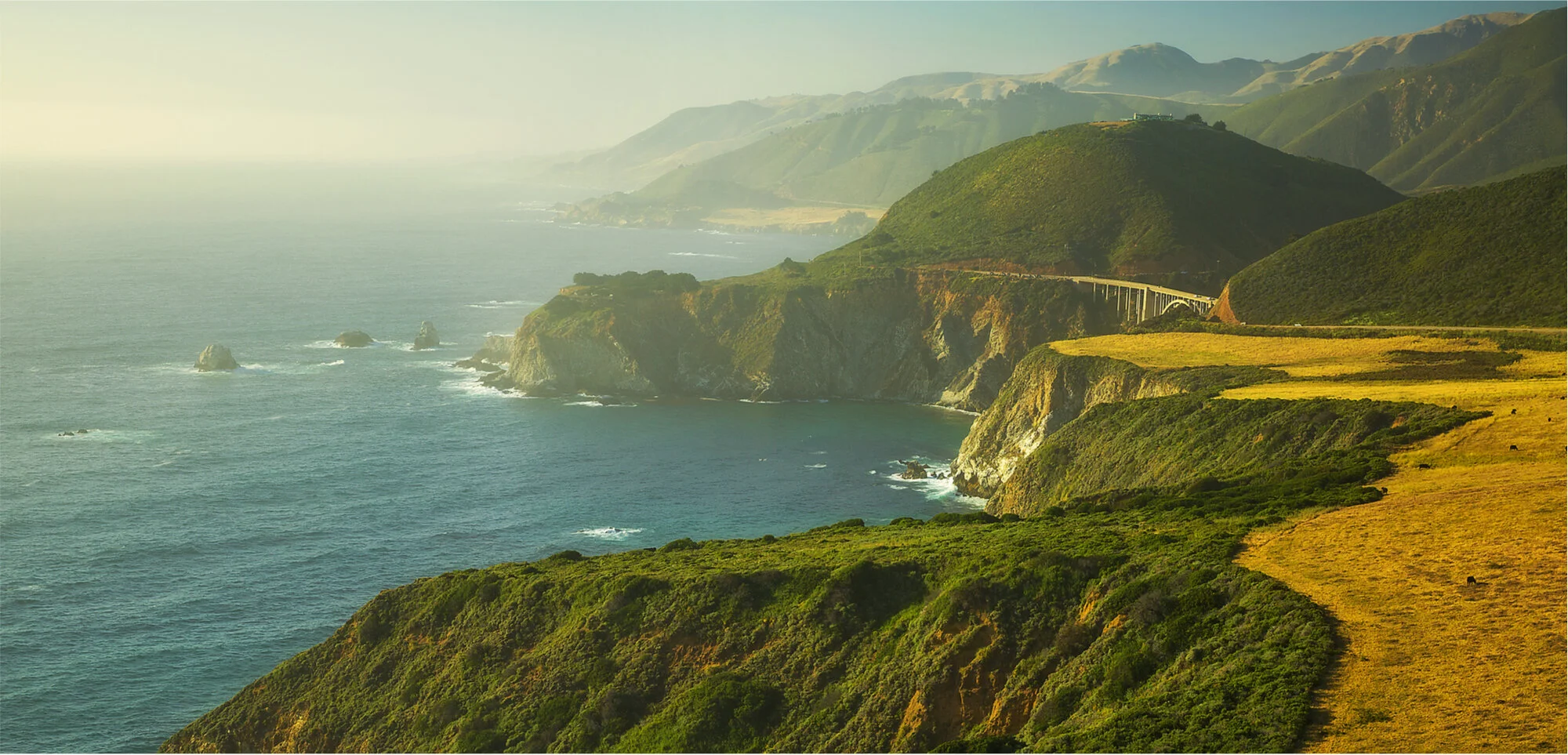 The Setting — Mercy Wines