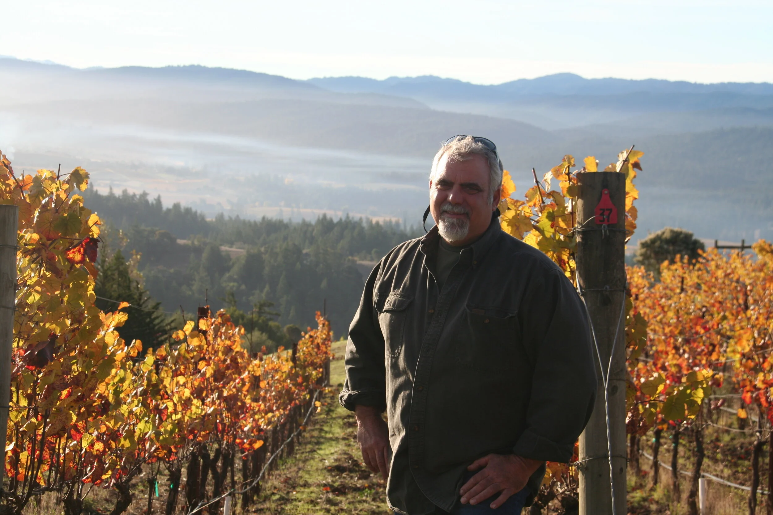 Roman Vineyard | Littorai Wines | Anderson Valley Pinot Noir ...