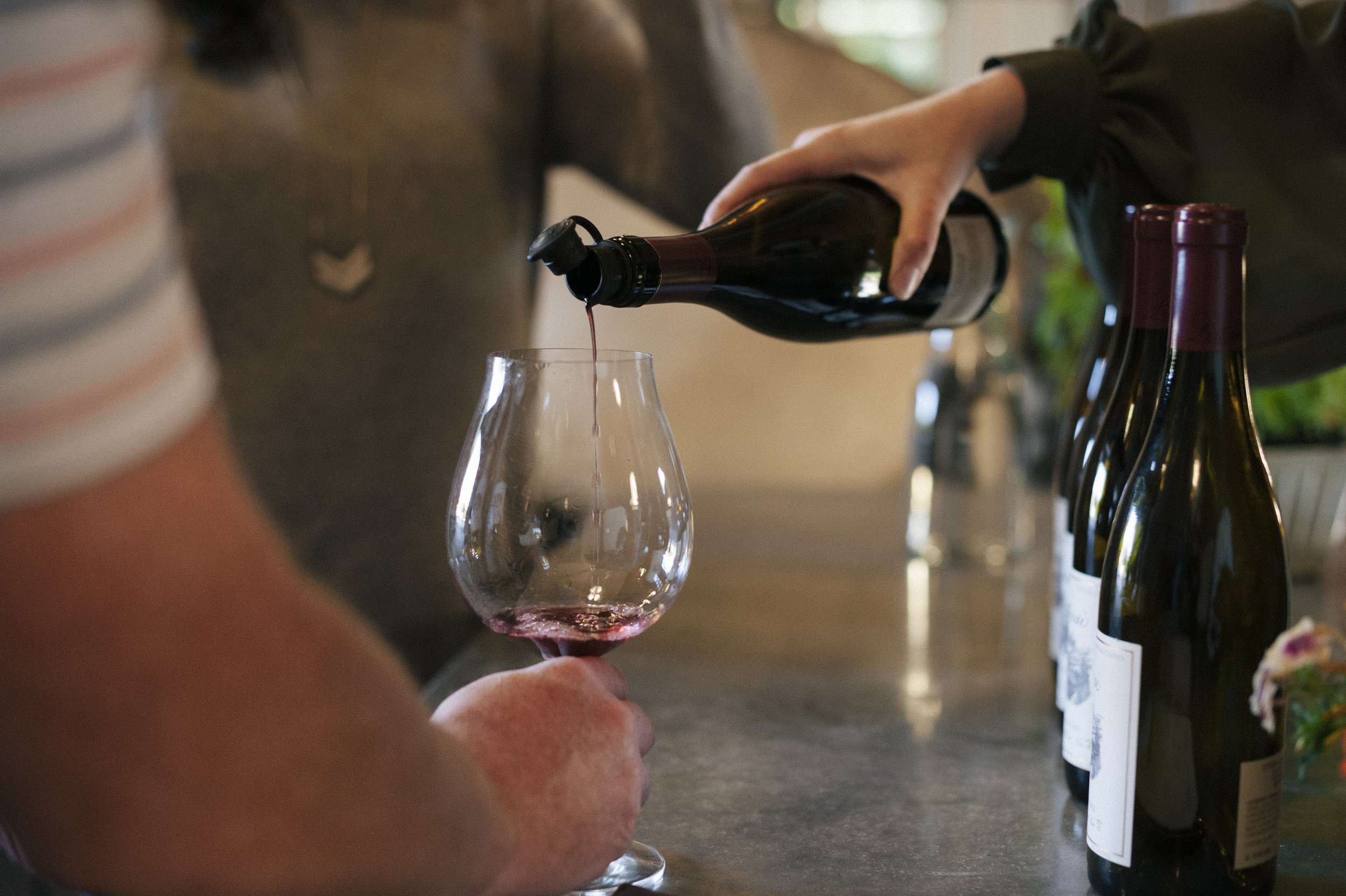 Collecting Littorai — Littorai Wines