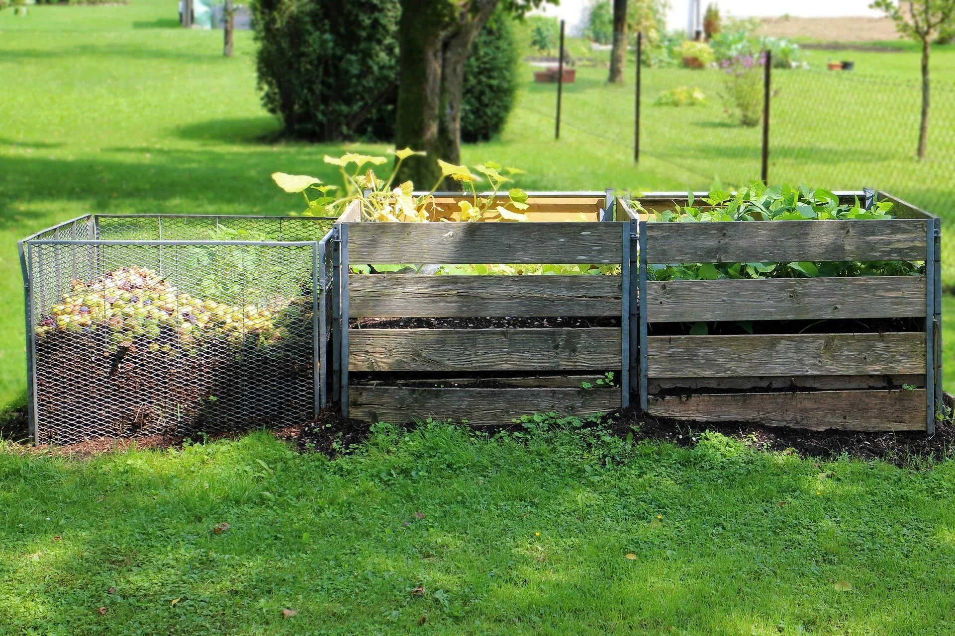 California Alliance for Community Composting