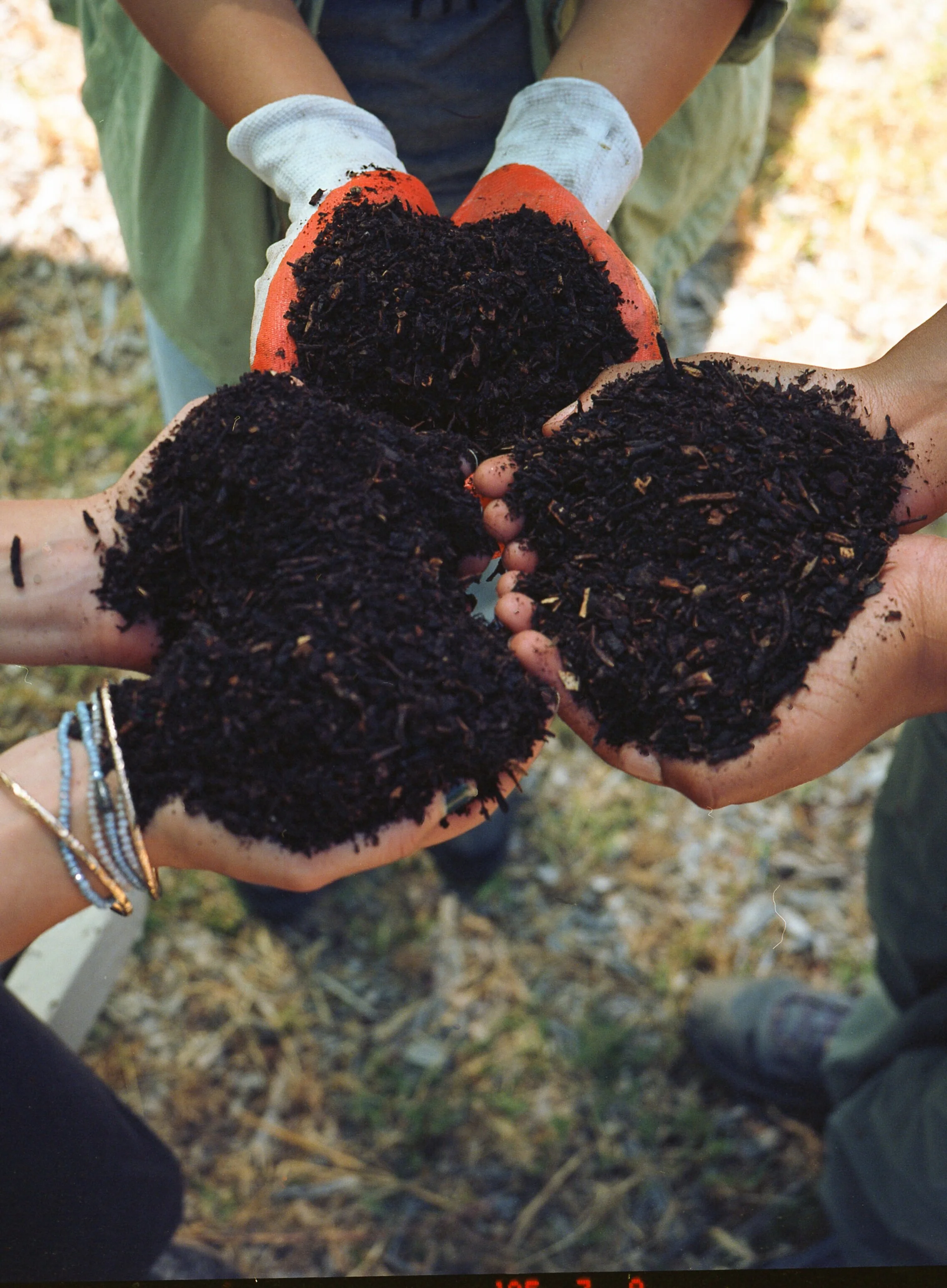 California Alliance for Community Composting